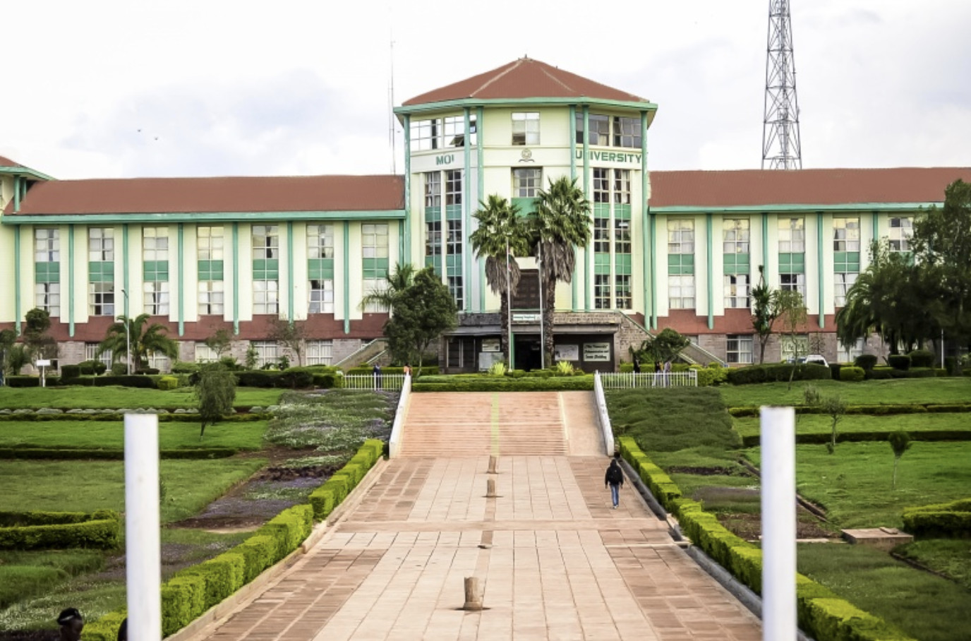 Home - Africa Health Collaborative