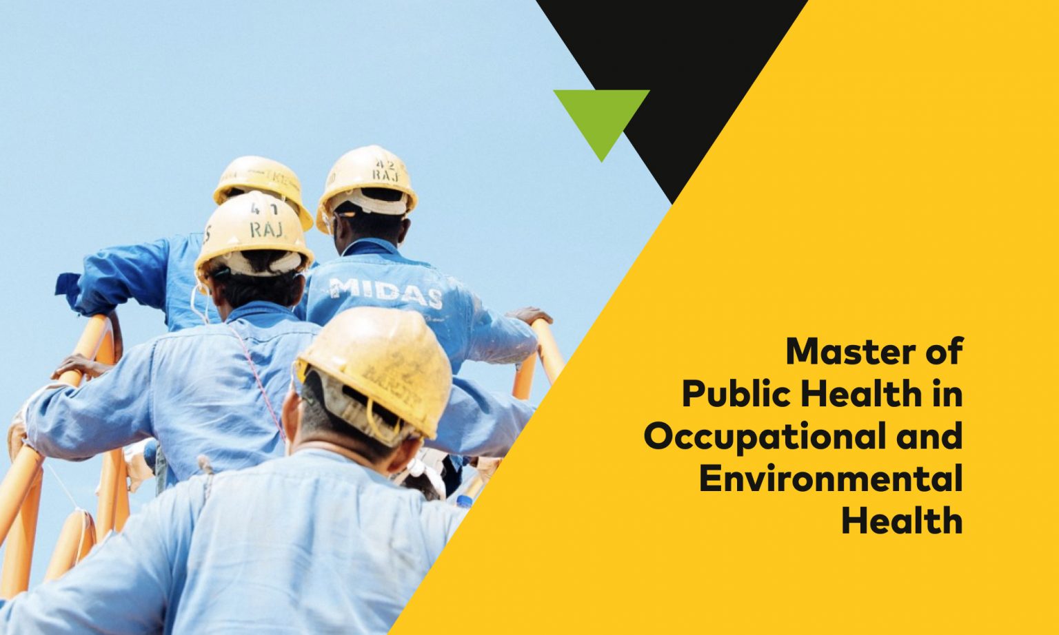 Master of Public Health in Occupational and Environmental Health ...