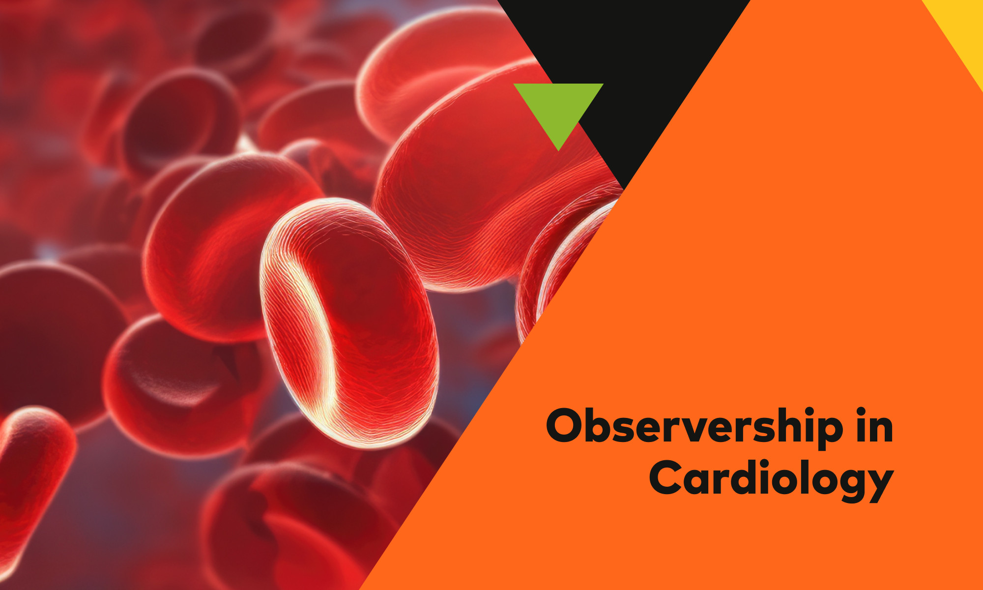 Observership in Cardiology - Africa Health Collaborative