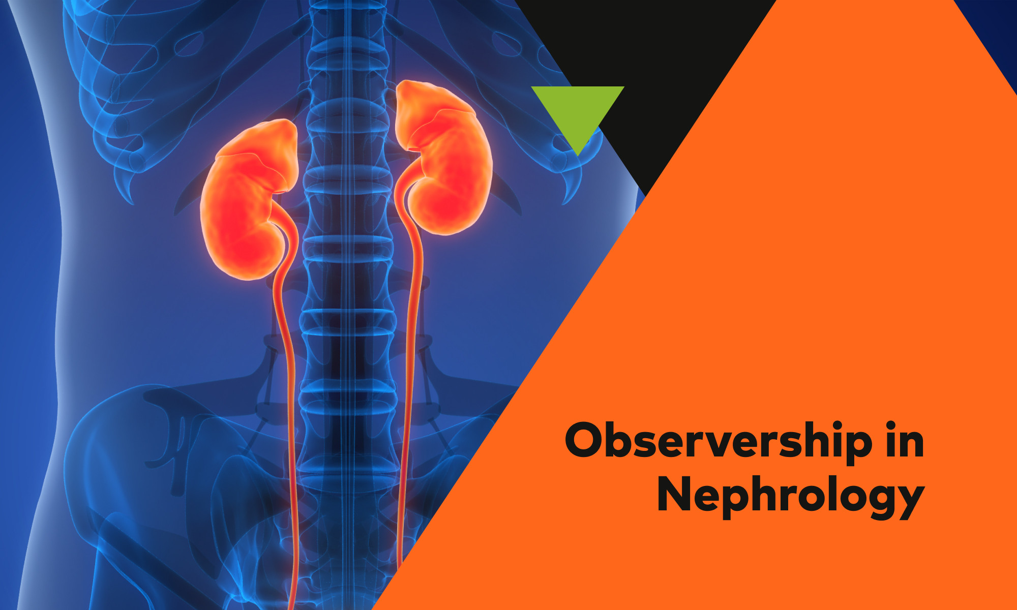 Addis Ababa University - Africa Health Collaborative